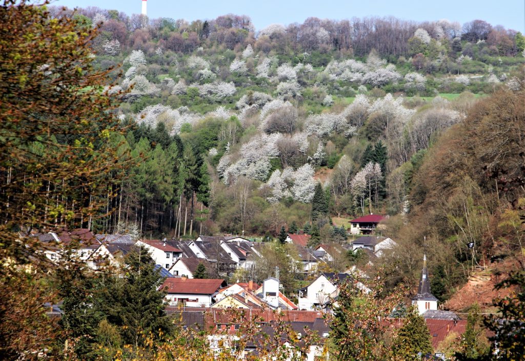 Impressionen aus unserer Gemeinde früher und heute – Senden Sie uns ...