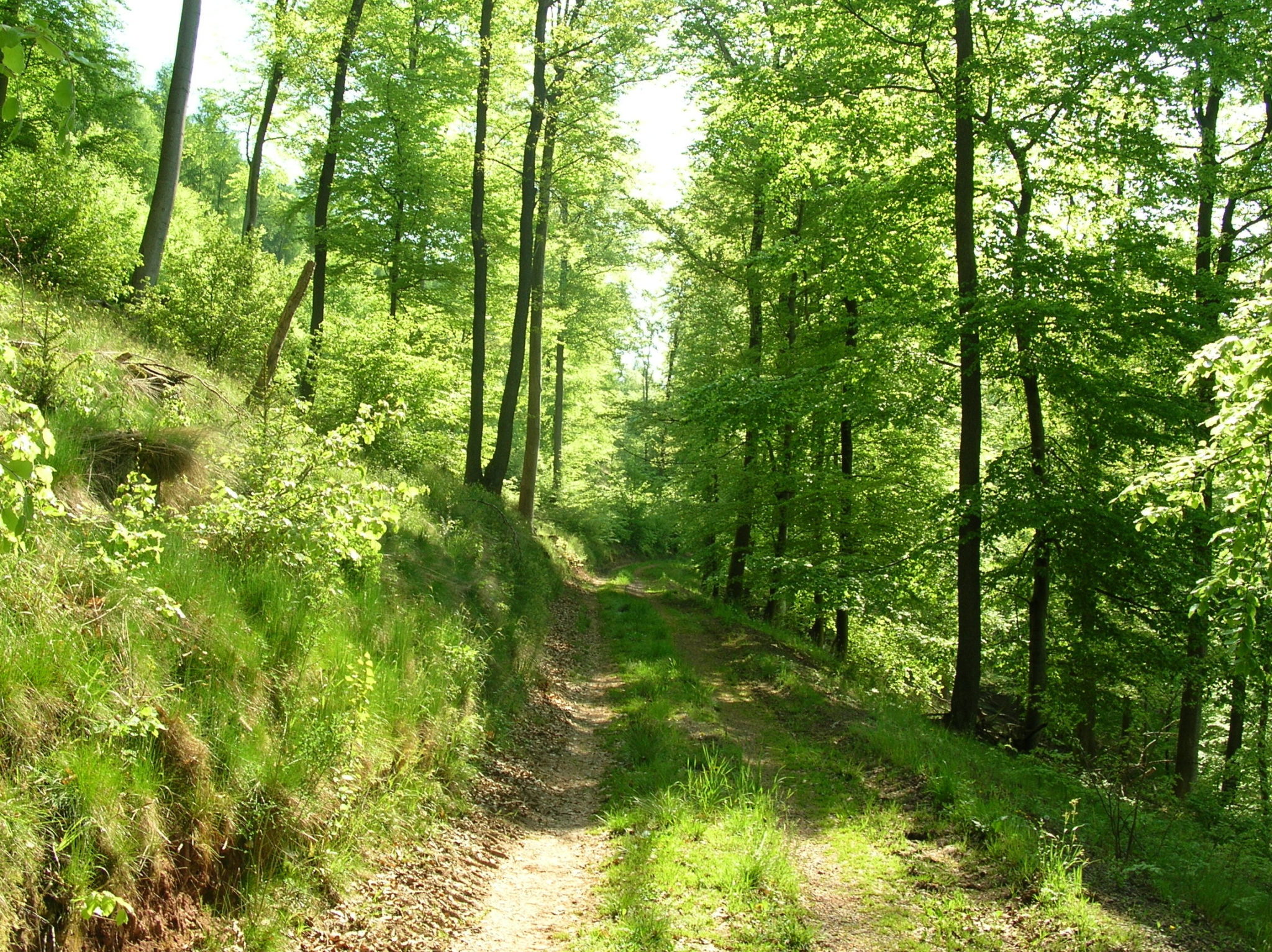 Impressionen aus unserer Gemeinde früher und heute – Senden Sie uns ...