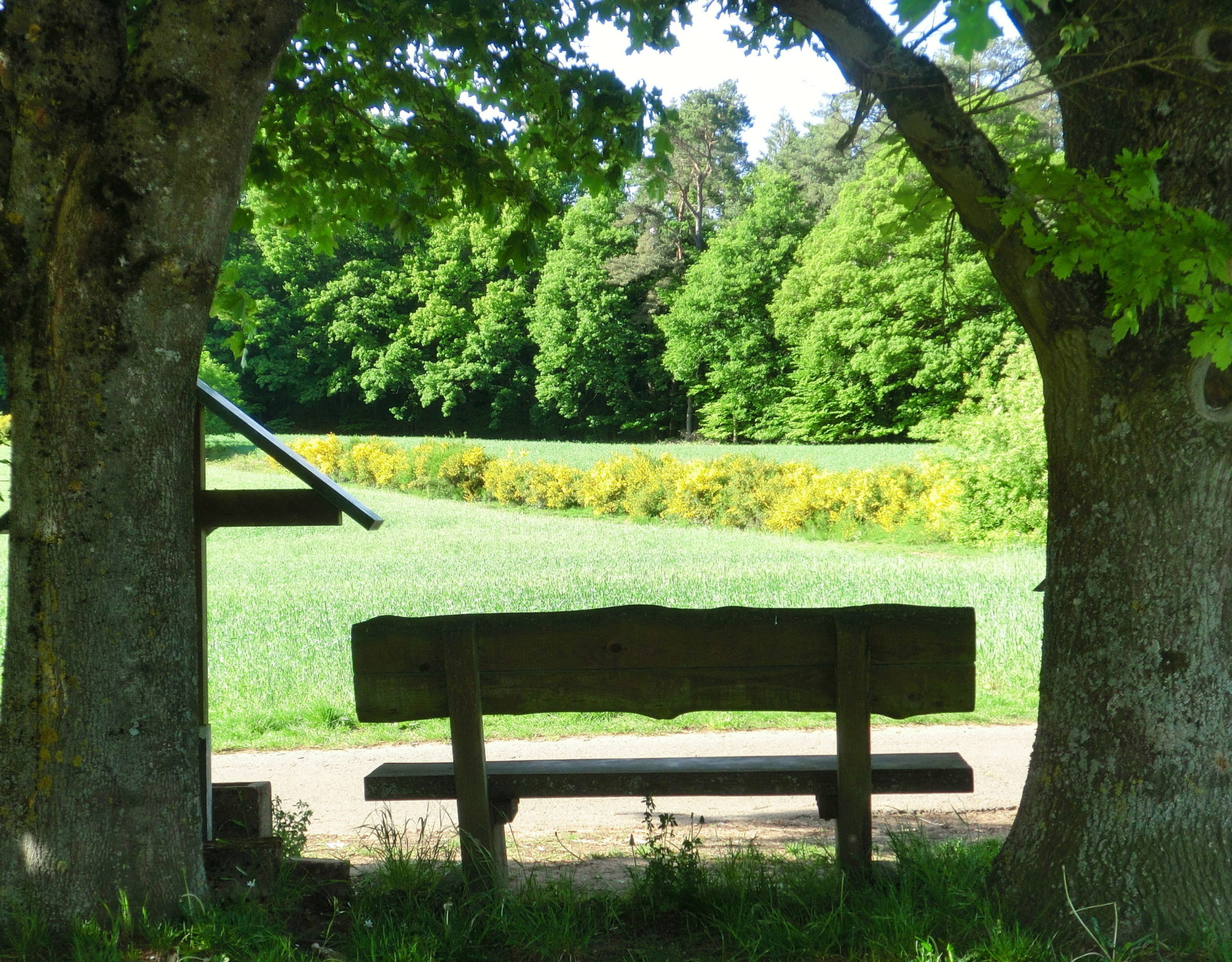 Impressionen aus unserer Gemeinde früher und heute – Senden Sie uns ...